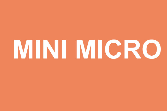 MINI MICRO – Micro México